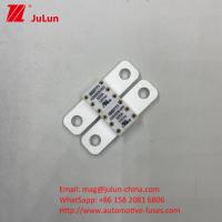 China ASTM A202008 Ceramic Automotive Fuses 300A 125VDC 20KA Breaking Capacity for sale