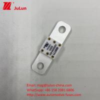 China Ships EV Electric Vehicle Fuse Terminal Type 125VDC A202008 350A ASTM for sale