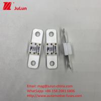 China Electric Current 200A ASTM A202008 125VDC Ceramic Vehicle Fuses For Long-Lasting Performance for sale