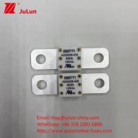China 300A 125VDC Car Battery Fuse ASTM Customizable Easy Installation for sale