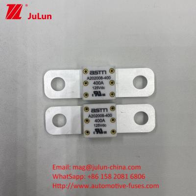 China 300A 125VDC Car Battery Fuse ASTM Customizable Easy Installation for sale