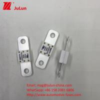 China 300A 125VDC Car Battery Fuse ASTM Customizable Easy Installation for sale