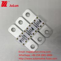 China ASTM Automotive Car Battery Fuse 300A 125VDC Origin for sale
