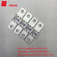 China Ceramic Car Battery Fuse 300A 125VDC Automotive Compatibility Universal for sale