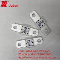 China 125VDC 250A Car Battery Fuse To ANM AMM AEGA ANL CNN CNL for sale