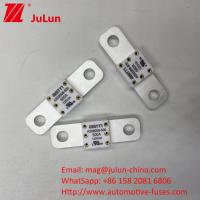 China Ceramic And Metal Automotive Battery Fuse 125VDC 300A for sale