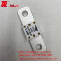 China 300A 125VDC ASTM M8 Bolt Car Battery Fuse Durable Long Lasting For Heavy Duty Applications for sale
