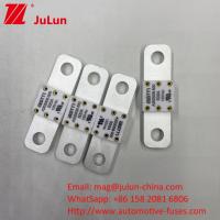 China Ceramic Ev ANM AMM AEGA ANL CNN CNL Blade AMG Fuse Mega Fuse Type Bolt Fuse M8 for sale