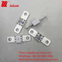 China 300A 125VDC Ceramic Fuse High Breaking Capacity Under 125Vdc Automotive For Heavy Duty Vehicles for sale