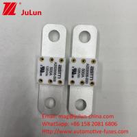 China 300A 125VDC Small Size High Current Rating EV Automotive Battery Fuse For Short Circuit Protection for sale