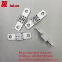 China 300A 125VDC Small Size High Current Rating EV Automotive Battery Fuse For Short Circuit Protection for sale