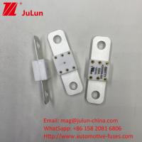 China Professional A202008 300A 125VDC Heavy Duty Automotive Battery Charger Fuse 100A 150A 200A 250A 300A 350A 400A 500A 20KA Breaking Capacity for sale