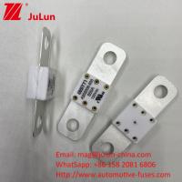 China Professional A202008 300A 125VDC Heavy Duty Automotive Battery Charger Fuse 100A 150A 200A 250A 300A 350A 400A 500A 20KA Breaking Capacity for sale
