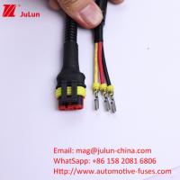 China Waterproof Car Light LED Light Wiring Harness Car Machine Equipment Injection Molding Wiring Harness New Energy Forklift Mechanical Equipment Wiring Harness for sale