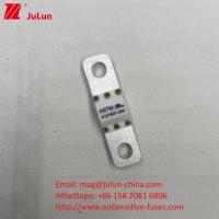 China Energy Storage Solution 100A 125VDC Ceramic Automotive Fuses for sale