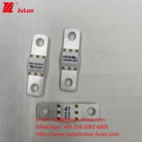 China Energy Storage Solution 100A 125VDC Ceramic Automotive Fuses for sale