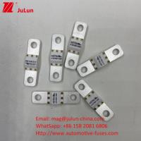 China Energy Storage Solution 100A 125VDC Ceramic Automotive Fuses for sale