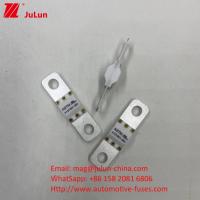 China 300A 125VDC High Breaking Capacity Ceramic Automotive Fuses for Power Conversion for sale