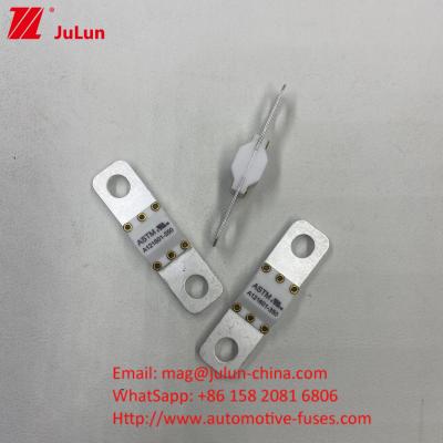 China 300A 125VDC High Breaking Capacity Ceramic Automotive Fuses for Power Conversion for sale