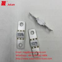 China EV Car Charger Ceramic Auto Fuses ASTM 121601 350A 125VDC for sale