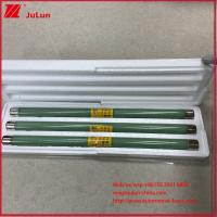 China High Voltage Current Limiting Fuses For Instrument Transformer Protection XRNP Series Ceramic Fuses for sale