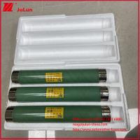 China High Voltage Current Limiting Fuses For Instrument Transformer Protection XRNP Series Ceramic Fuses for sale