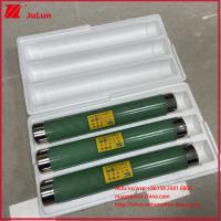 China XRNT5 Current Limiting Backup High Voltage Fuse Short Circuit Protection Of Oil-Immersed Transformers XRNT5-15.5 for sale