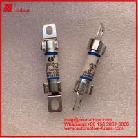 China EV Energy 10*38mm Tubular Fuse EV315-M 3E 15A 500VDC For Electric Vehicles Bolt Installation Meets JASO D622 Standards for sale