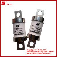 China EV315-M 5M 125A HS 500VDC Truck Heavy Tubular Electric Vehicle Fuse Constant Copper With Utilization Category EV for sale