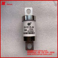 China EV315-M 5M 125A HS 500VDC Truck Heavy Tubular Electric Vehicle Fuse Constant Copper With Utilization Category EV for sale