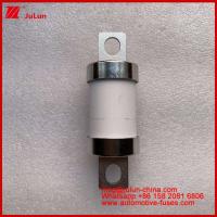 China EV315-M 5M 125A HS 500VDC Truck Heavy Tubular Electric Vehicle Fuse Constant Copper With Utilization Category EV for sale