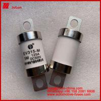 China EV315-M 5M 125A HS 500VDC Truck Heavy Tubular Electric Vehicle Fuse Constant Copper With Utilization Category EV for sale