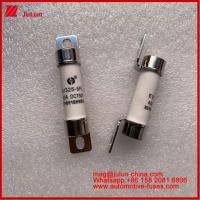 China Tubular Fuse EV325-5FL 40A 750VDC For Electric Vehicle With 15*51mm Light Bolt Installation And Time Constant 2±0.5ms for sale