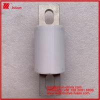 China RS309-MD 400A 500VAC 200KA 500VDC 50KA AR Tubular Ceramic Automotive Fuses Bolt Installation Semiconductor Protection for sale