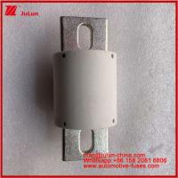 China 500VDC 200KA 500VAC 50KA AR Tubular Ceramic Fast Fuse FUSE RS309-MD 500A For Electric Vehicles And Power Battery Systems for sale