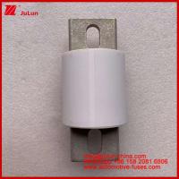 China Power Drive Power Systems Ceramic Auto Fuses RS309-MD 600A 500VAC 200KA 500VDC 50KA AR Tubular Electric Vehicles 30-800A for sale