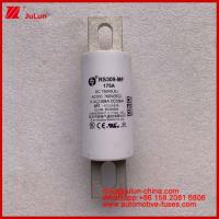 China RS309-MF 175A 750VDC UL Tubular Ceramic Fuse AR 750VDC/700AC IEC 20KA GB 5-800A for Electric Vehicles and Power Systems for sale