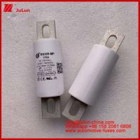 China RS309-MF 175A 750VDC UL Tubular Ceramic Fuse AR 750VDC/700AC IEC 20KA GB 5-800A for Electric Vehicles and Power Systems for sale