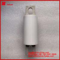 China Road Vehicle Tubular Ceramic Fuse RS309-MF 200A 750VDC UL High Breaking Capacity for sale