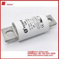 China RS309-MD-125A Ceramic Auto Fuses 500VAC200KA 500VDC 50KA AR DC Performance Tubular Automobile Bolt Connection Structure for sale