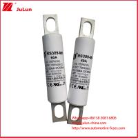 China RS309-MF 60A DC750C Heavy Trucks Charging Pile  Electric Cars Electric Buses Electric Light Trucks And Electric  Fuse for sale