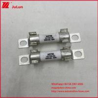 China Ceramic Automotive Fuses HV150 Portable EV Charger With Strong Breaking Ability for sale