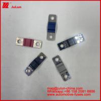 China Plated Auto ANS Fuse ANL 32V 30A 60 Amp 80Amp ANM 100 Amp 200Amp 250Amp 300Amp 400A 500A  Silver Plated/Gold for sale