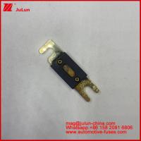 China Plated Auto ANS Fuse ANL 32V 30A 60 Amp 80Amp ANM 100 Amp 200Amp 250Amp 300Amp 400A 500A  Silver Plated/Gold for sale