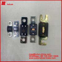 China Plated Auto ANS Fuse ANL 32V 30A 60 Amp 80Amp ANM 100 Amp 200Amp 250Amp 300Amp 400A 500A  Silver Plated/Gold for sale