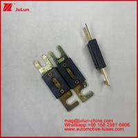 China 500A 32V Large Current Auto Fuse ANL Heavy Duty Fork Lift Truck Fuse Automotive Bolt-Down 250A Fuse Size ANL Car Fuse ANS ANM for sale