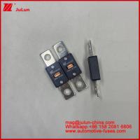 China 500AMP ANL Fuse Holder INLINE  Car Audio Marine RV -45-125°C  Best Quality China Manufacturer for sale