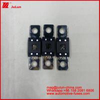 China ANM 350A 58VDC Cars Air Conditioner or Automotive Auto High-temperature and Corrosion-resistant Fork-type Fuse 100-500A for sale