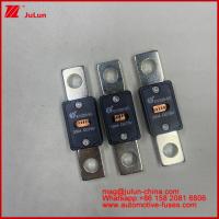 China Auto Bolt Fues EV320 5C 5X Transparent window 200A 225A 250A 300A 70VDC Automotive Blade Fuses for sale