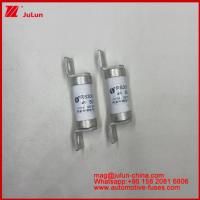 China Battery, Motor RS308-HB 16A 550VDC Energy Storage  Ceramic Automotive Fuses With Rated Voltage AC690V/DC550V And Mounting Method SCREW BOLT for sale